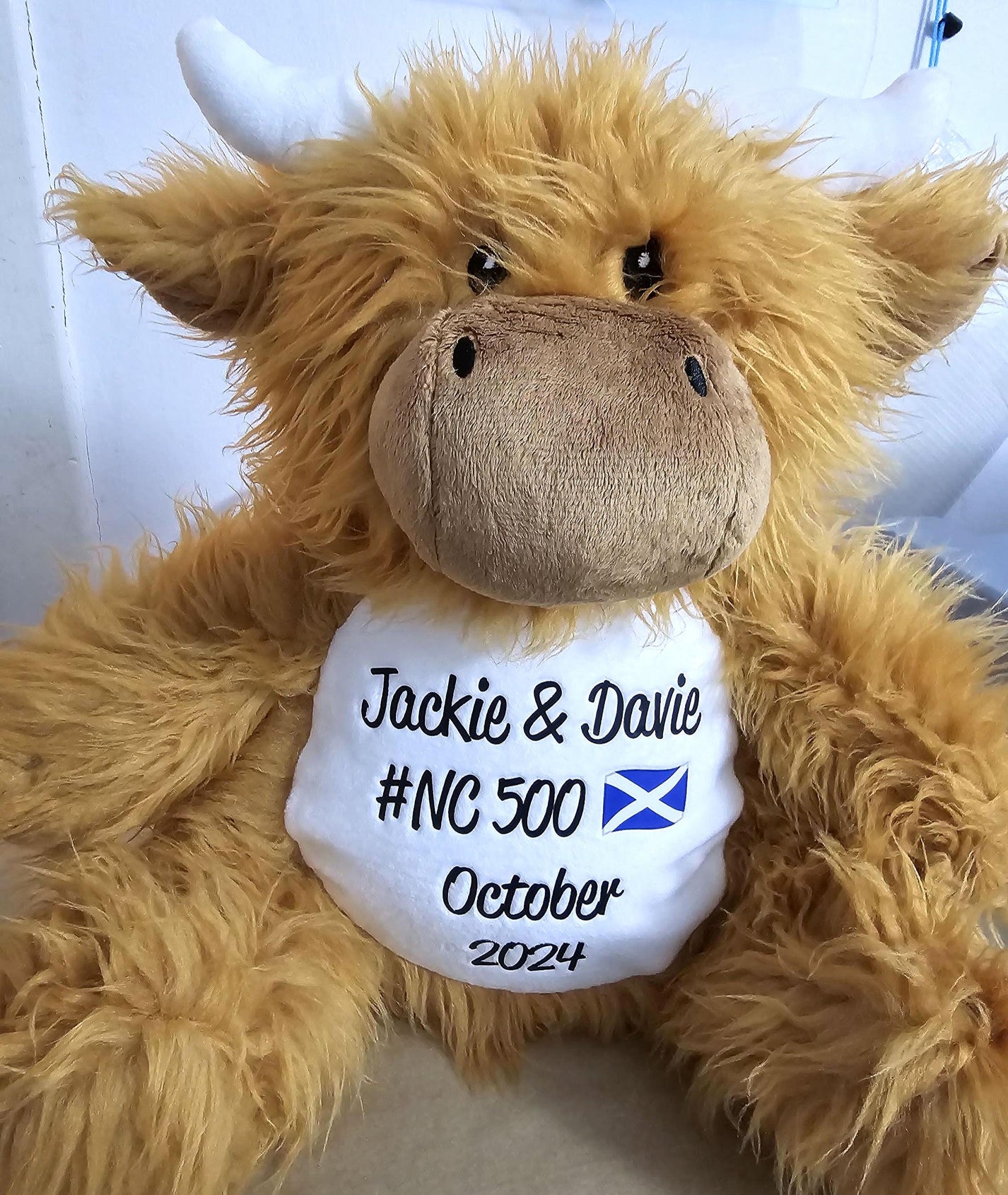 Highland Cow Teddy - Personalised Gift | Handmade Highland